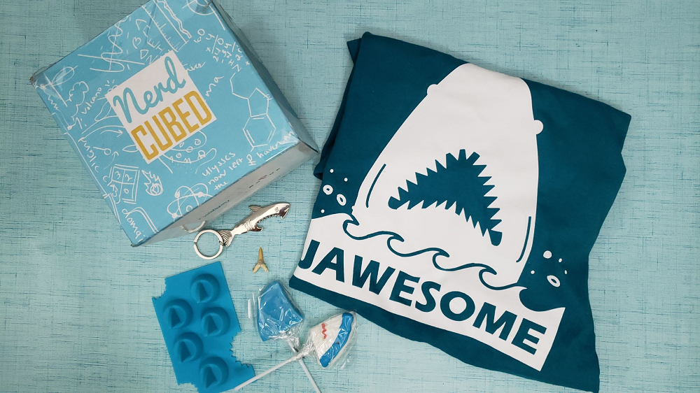 Nerd Cubed Unboxing – Nerd & Lace