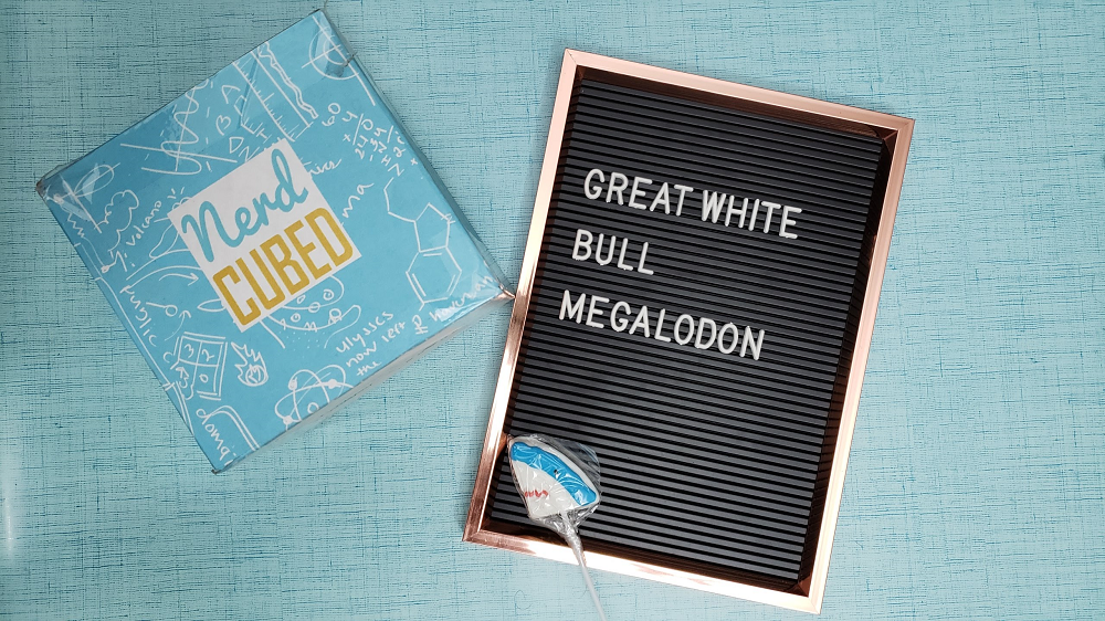 Nerd Cubed Unboxing – Nerd & Lace